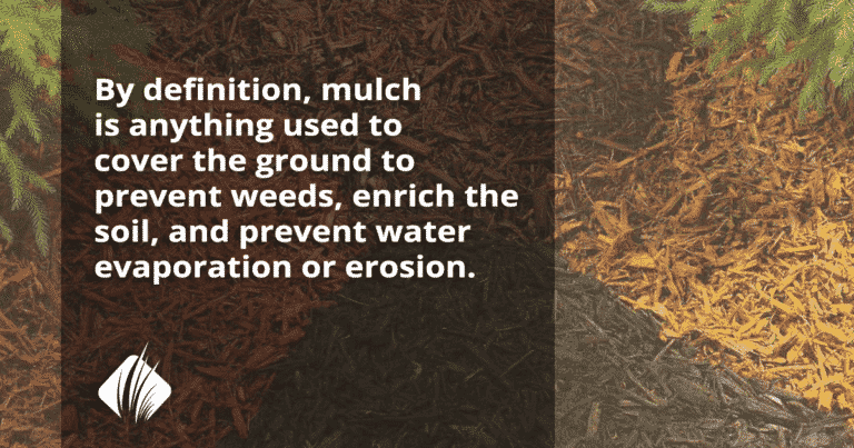 Mulch: Everything You Need To Know - Ebyland LLC