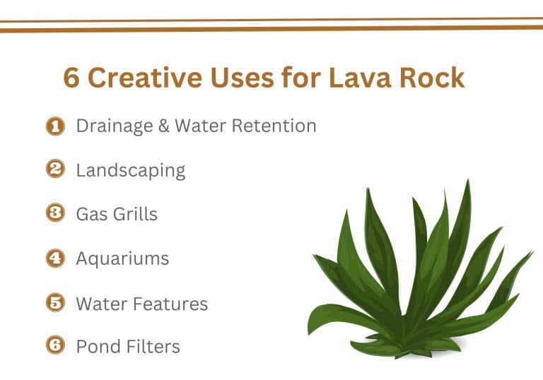 Lava Rock: What It Is, And How To Use It In Your Landscaping
