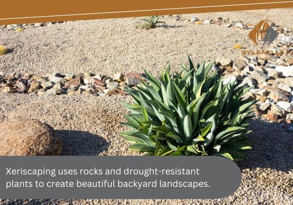 Lava Rock: What It Is, And How To Use It In Your Landscaping