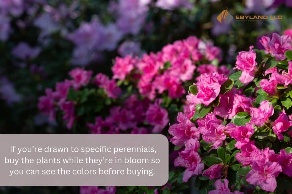 Choosing The Right Plants For Your Garden: Seven Crucial Things To Consider