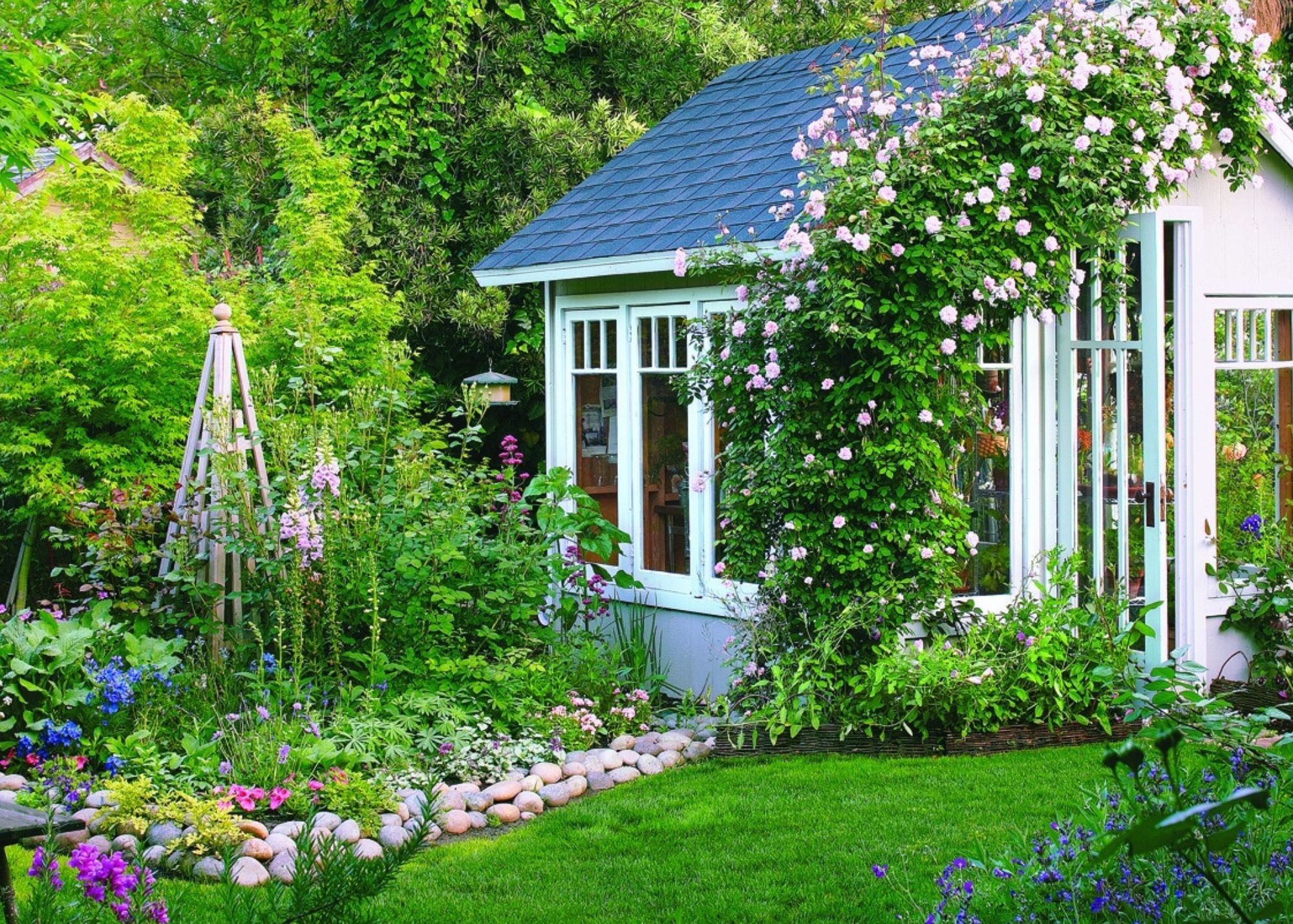 Transforming Your Soil For Vibrant Plant Life