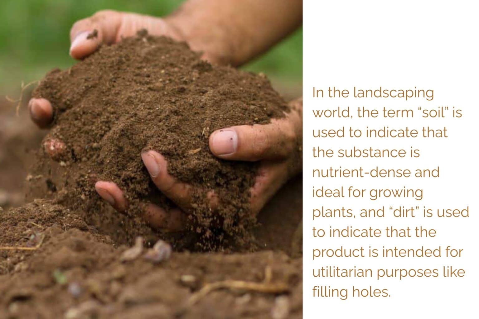 Dirt And Soil: Key Components, Types, & More - Ebyland LLC