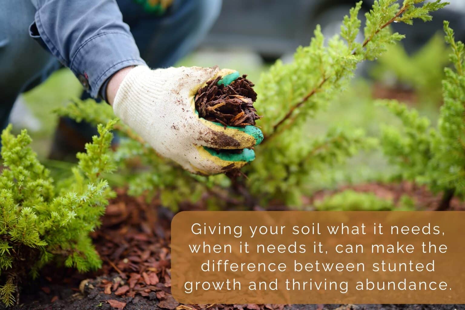 Seasonal Soil Care: A Comprehensive Guide To Healthy Soil - Ebyland LLC